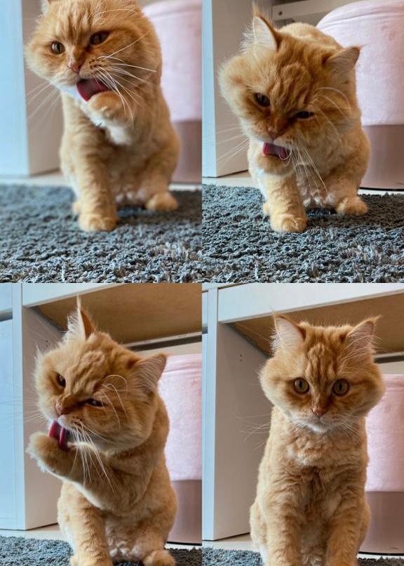 FLUFFY BASICS – Fluffy Tale