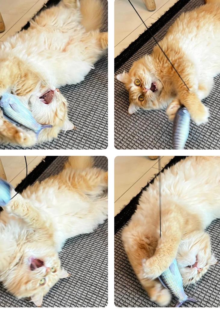 FLUFFY TOYS – Fluffy Tale