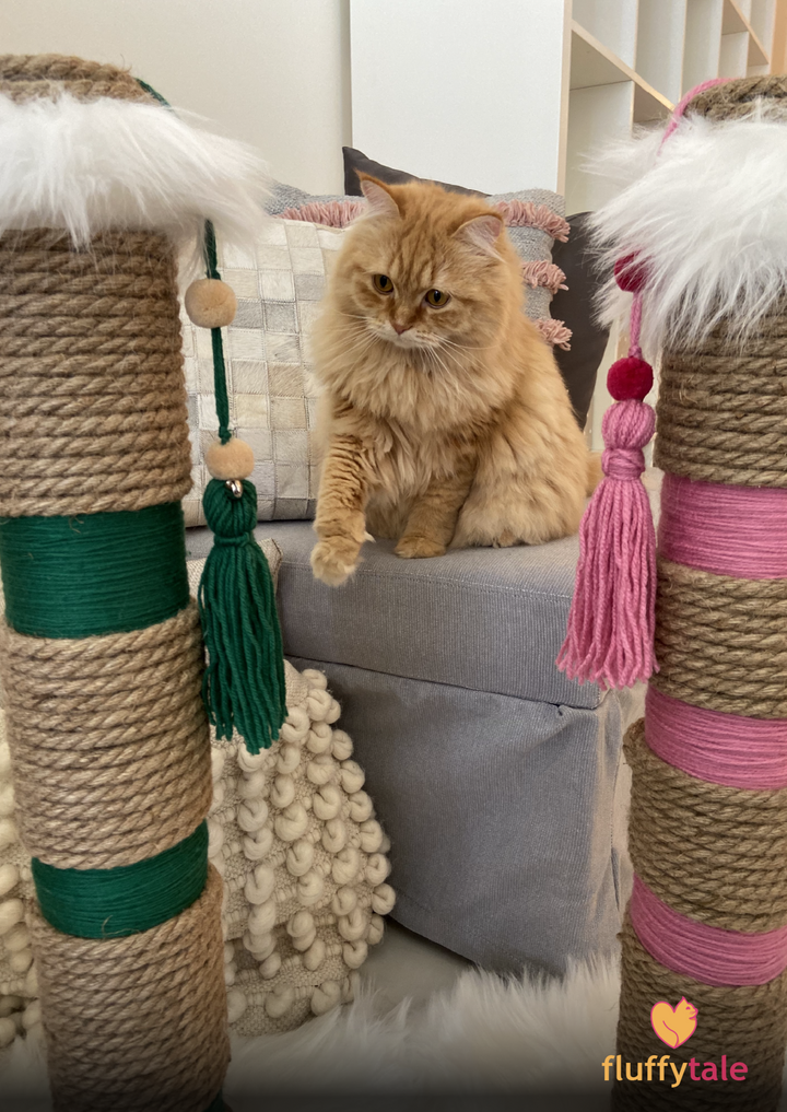 FLUFFY TALE COLLECTION – Fluffy Tale