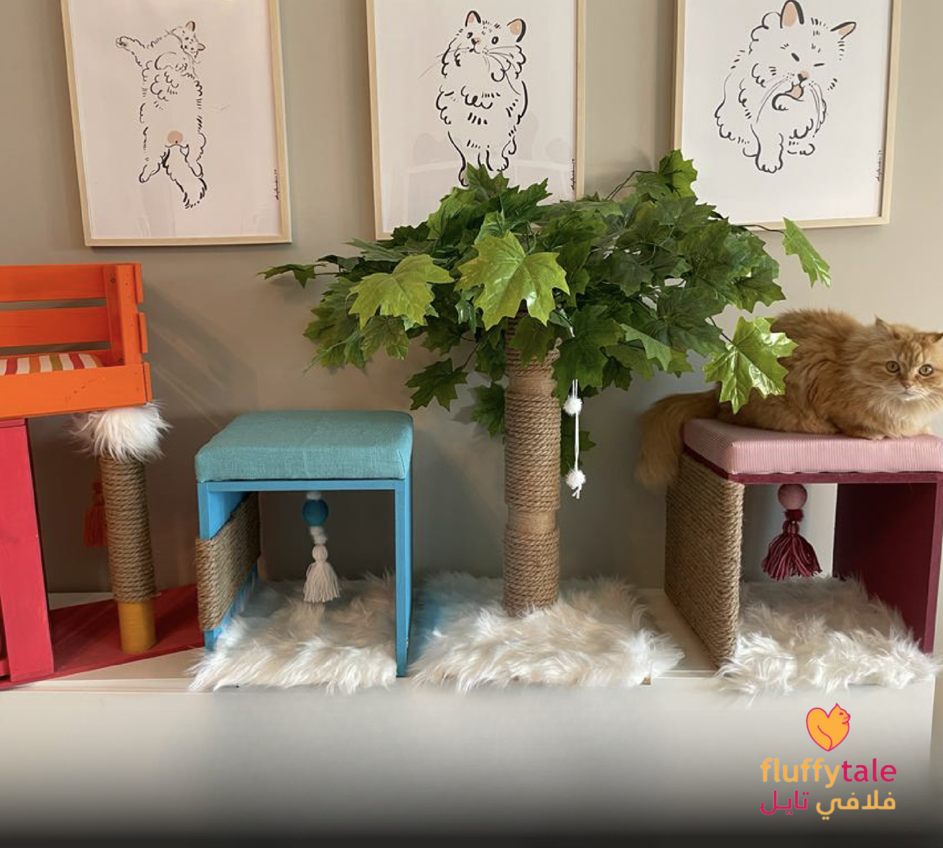 Our Tale – Fluffy Tale